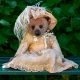 The Original Classic Paddington Bear – Gabrielle Designs – Made in ...