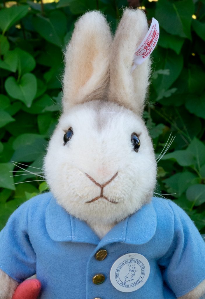 ON HOLD! Steiff – Peter Rabbit / Peter Hase / Pierre Lapin – 100 Years ...