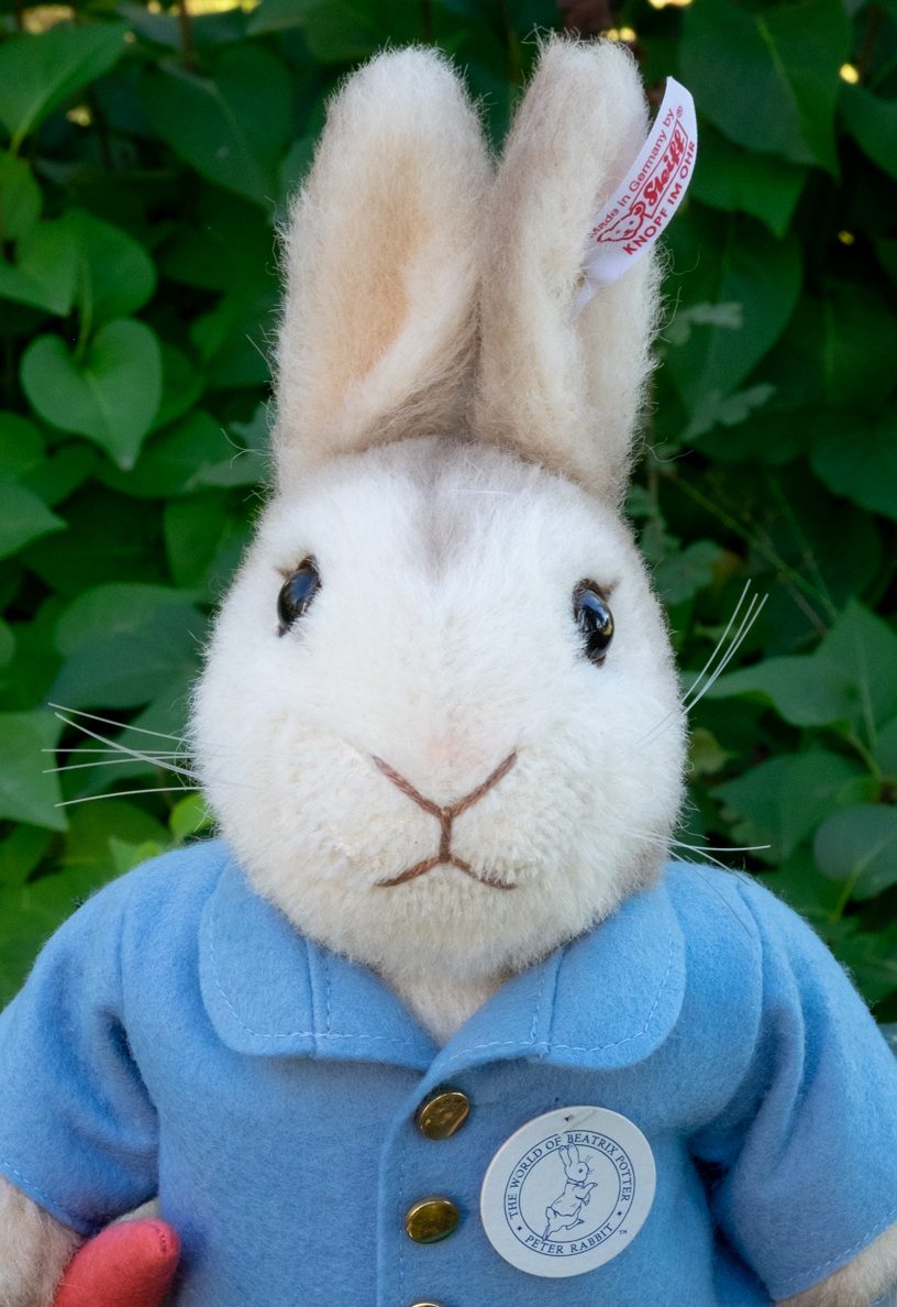 ON HOLD! Steiff – Peter Rabbit / Peter Hase / Pierre Lapin – 100 Years ...