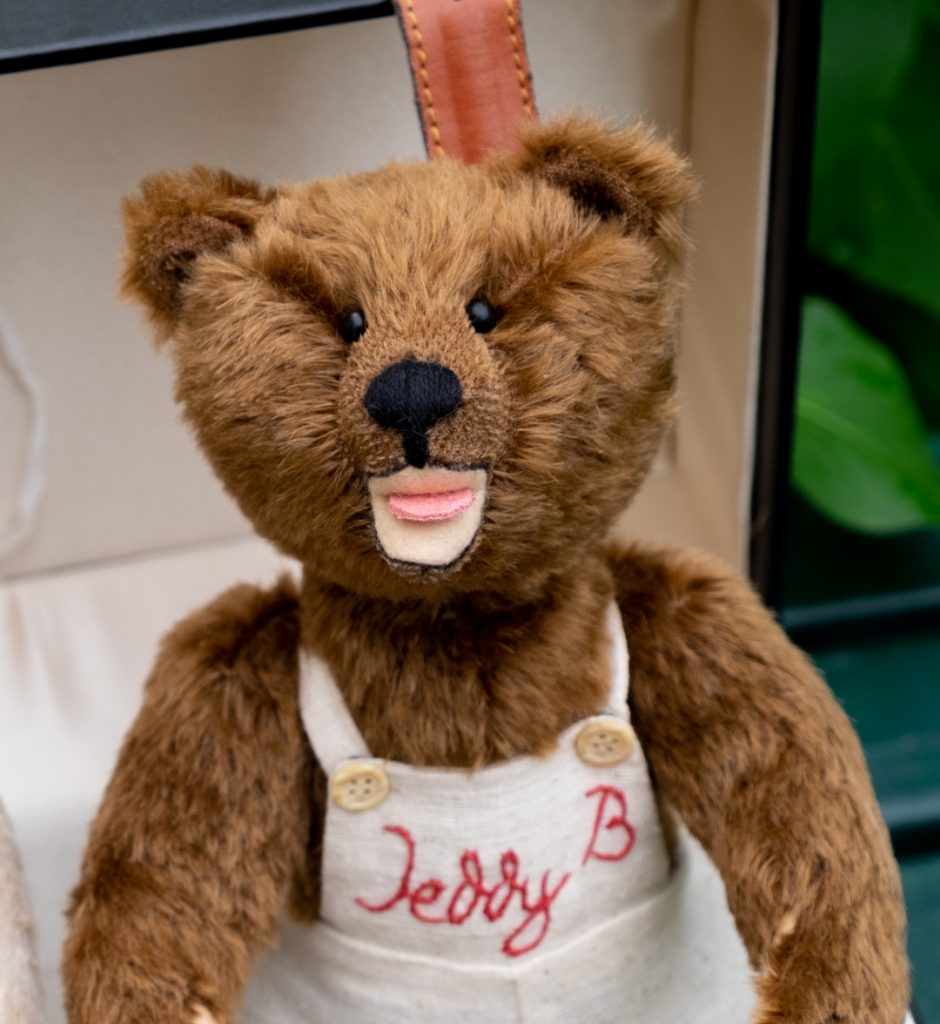 ON HOLD! – Teddy B & Teddy G with Book #1, Suitcase and Accessories ...