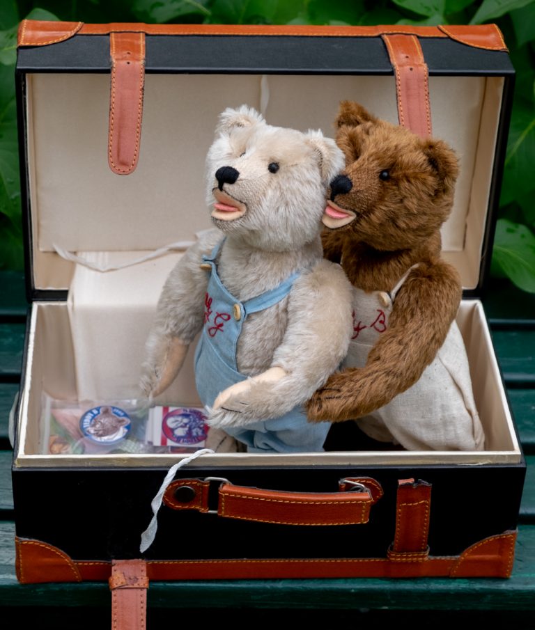 ON HOLD! – Teddy B & Teddy G with Book #1, Suitcase and Accessories ...