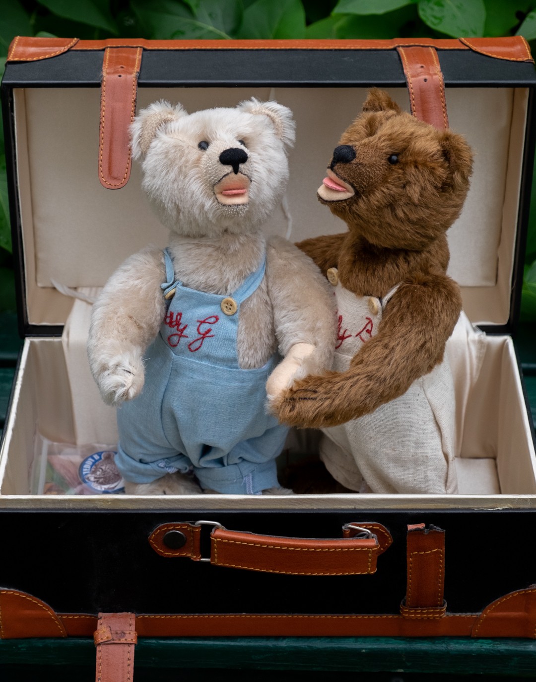 ON HOLD! – Teddy B & Teddy G with Book #1, Suitcase and Accessories ...